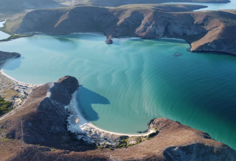 Balandra Beach in La Paz, Mexico - Baja California Sur