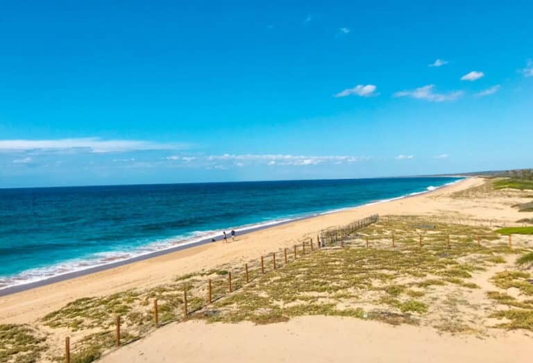 Todos Santos Beaches: 7 Fantastic Waterfronts in BCS Mexico - Baja ...